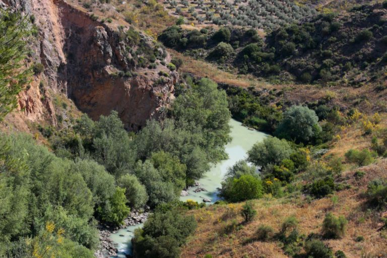 Río Genil - Estación Náutica Lago de Andalucía